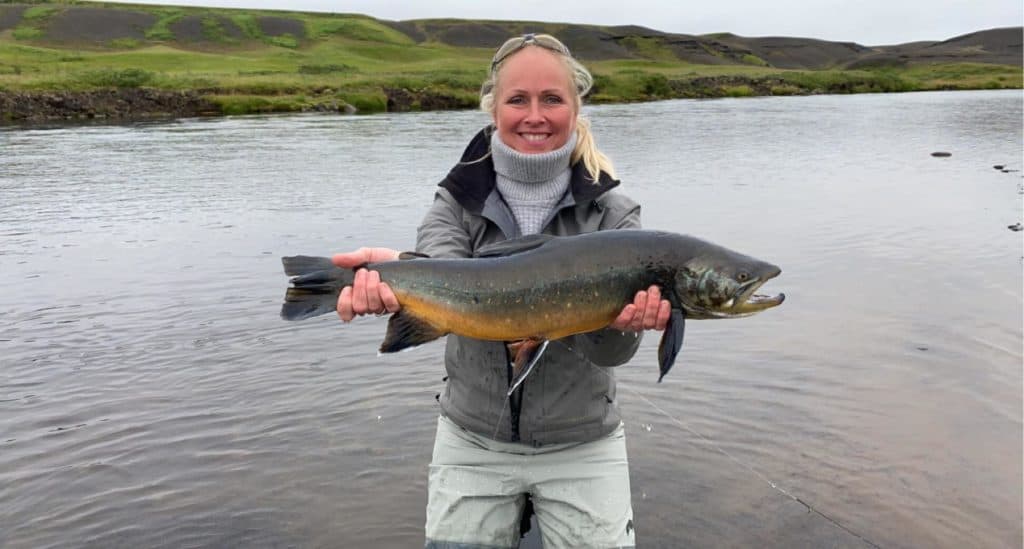 The salmon season has started in Iceland - Kolskeggur